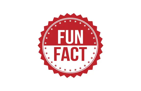 Fact Red Ribbon Label Banner Open Available Now Sign Fact Stock Vector ...