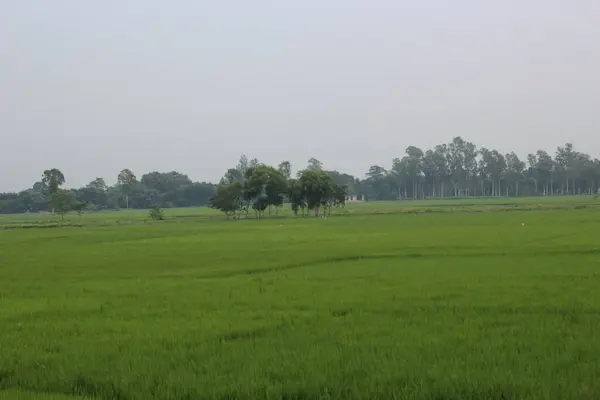 Bangla photo chuda chudi Stock Photos, Royalty Free Bangla photo chuda ...