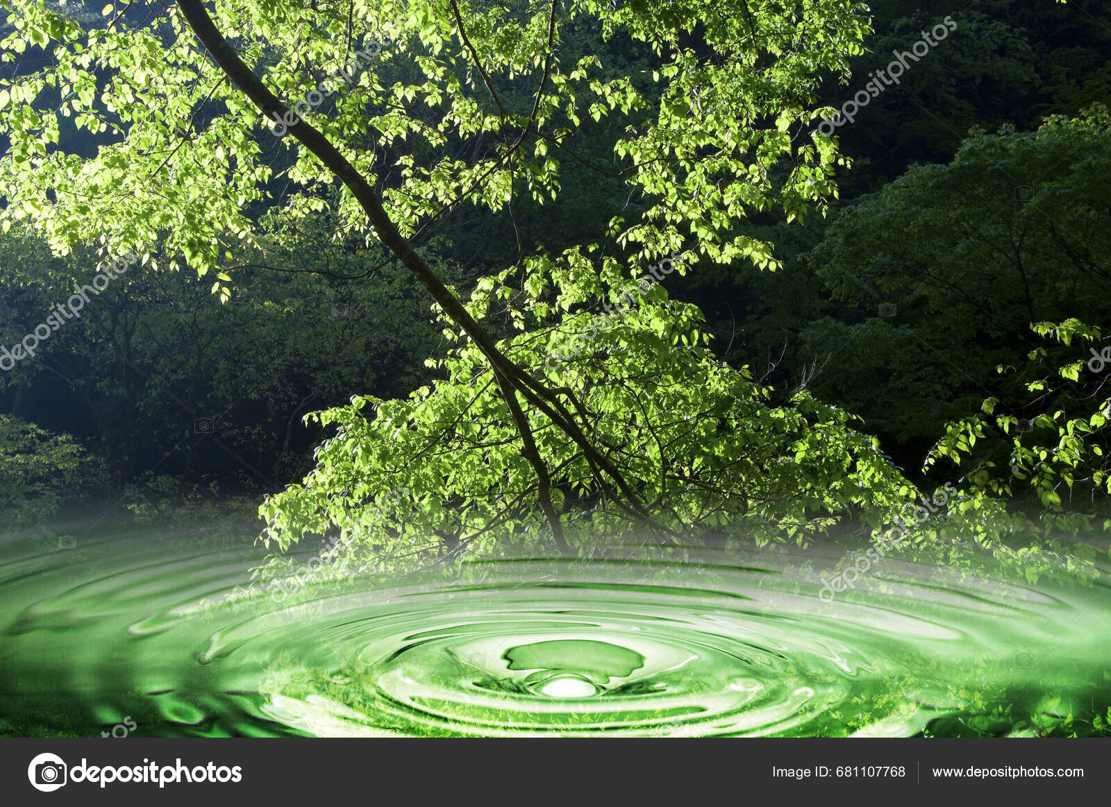 Green Trees Water Ripples Background — Stock Photo © Paylessimages ...