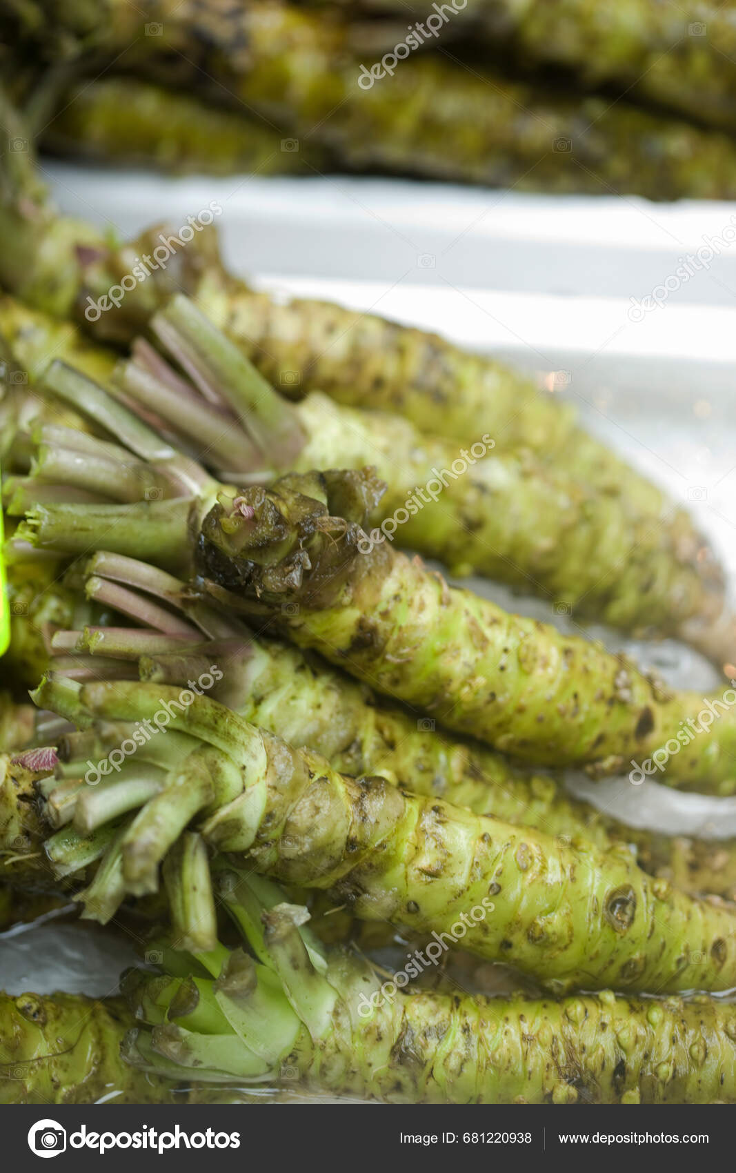 Pile Wasabi Roots Eutrema Japonicum Japanese Horseradish — Stock Photo ...