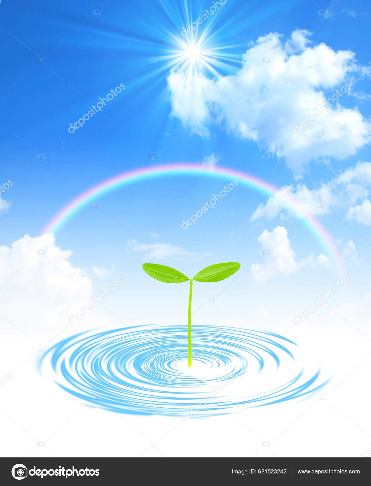 Green Sprout Pool Water Rainbow Background — Stock Photo ...