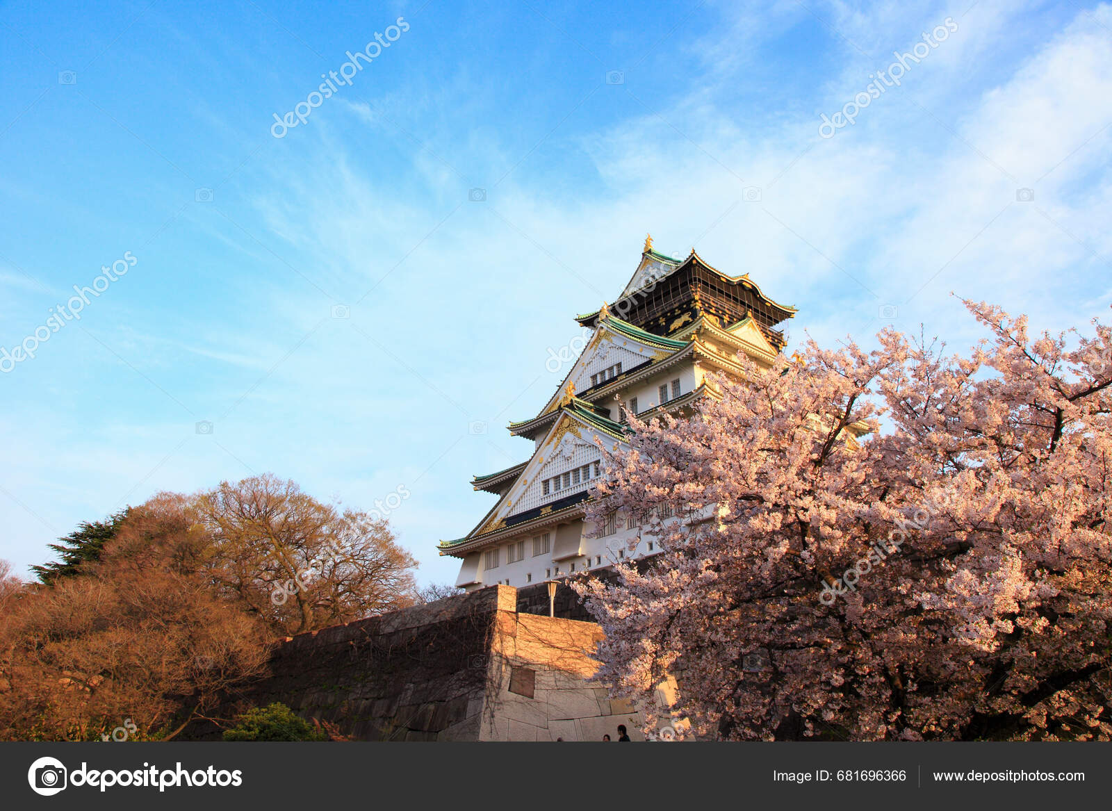 Osaka Castle Osaka Japan One Osaka's Most Popular Hanami Spots — Stock ...