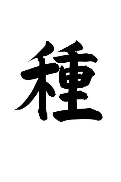 100,000 Japanese writing Vector Images | Depositphotos