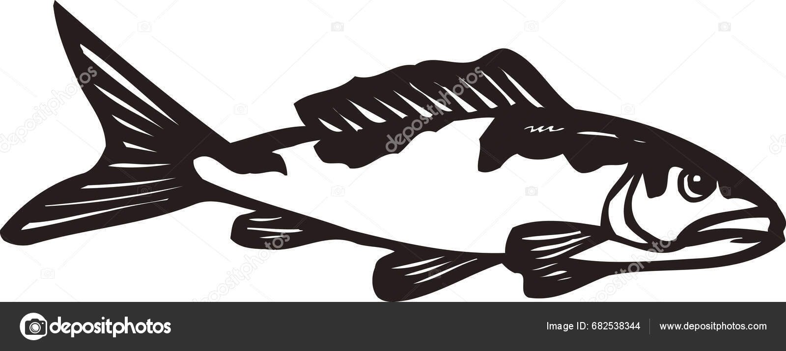 Fish Web Illustration White Background — Stock Photo © Paylessimages ...