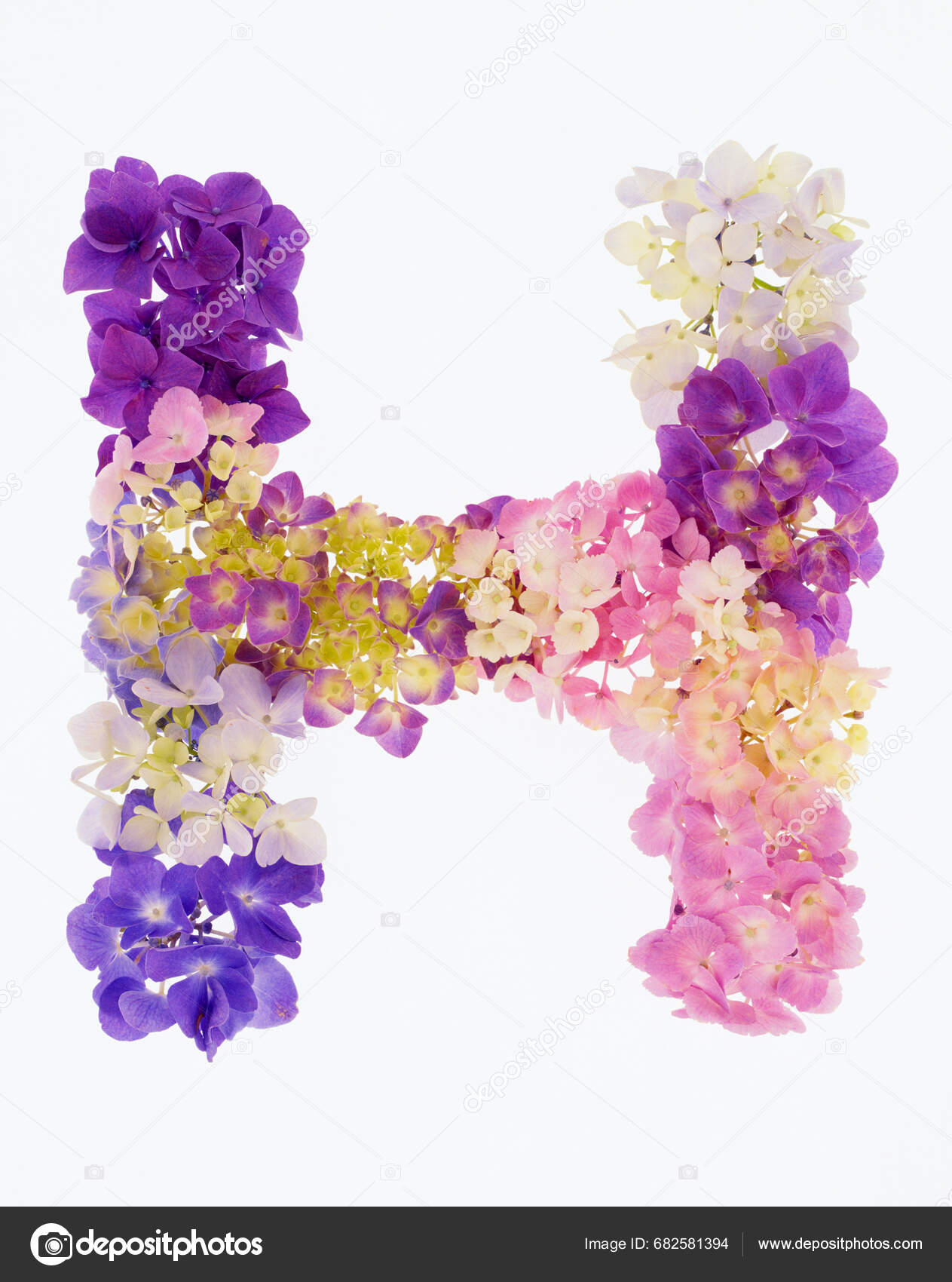 Letter Made Colorful Spring Flowers Isolated White Background — Stock ...