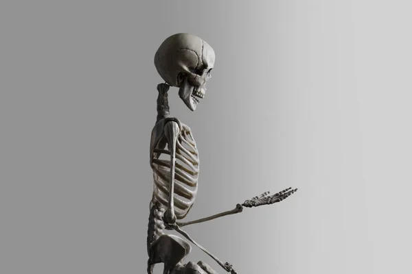 Black skeleton Stock Photos, Royalty Free Black skeleton Images ...