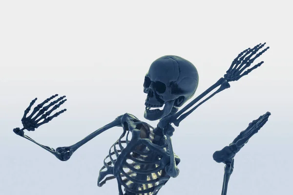 Pose skeleton Stock Photos, Royalty Free Pose skeleton Images ...