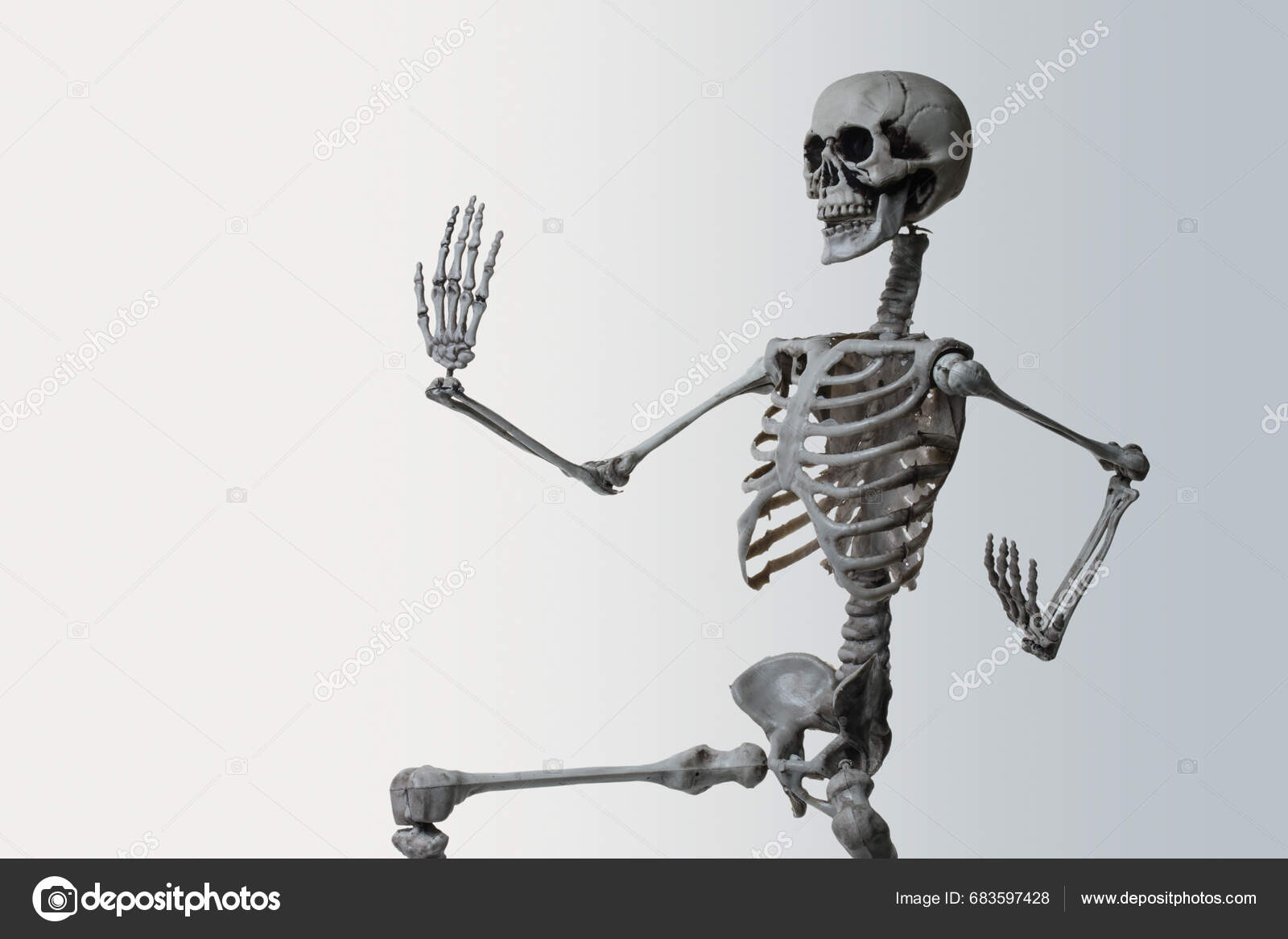 Scary Skeleton Background Halloween Concept — Stock Photo ...