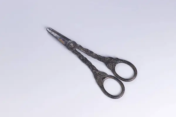 Victorian scissors Stock Photos, Royalty Free Victorian scissors Images ...