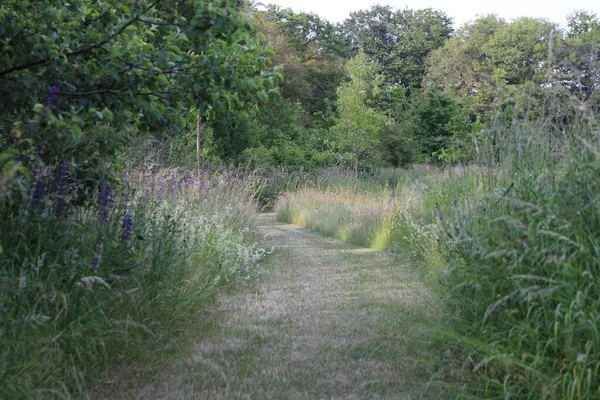 Pathway thru meadow Stock Photos, Royalty Free Pathway thru meadow ...