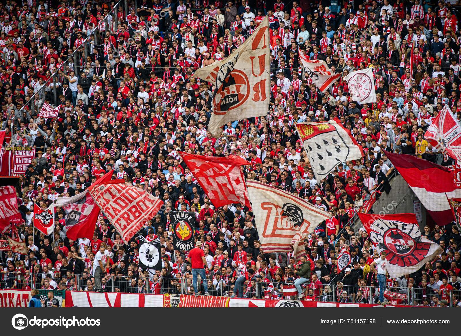 Cologne Germany September 2024 Football Match Bundesliga Koeln ...