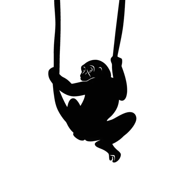 Hanging Monkey Silhouette