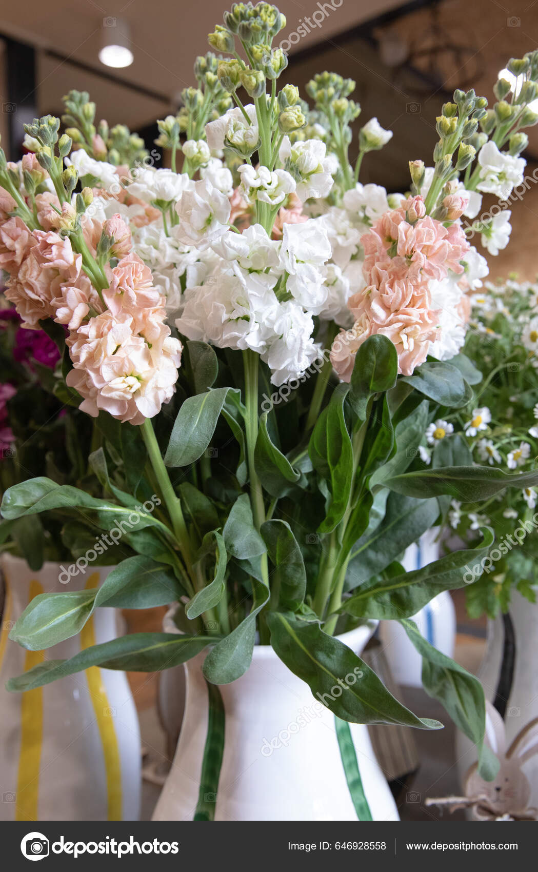 Fresh Cut White Matthiola Incana Stock Flowers Vase Vertical Close ...