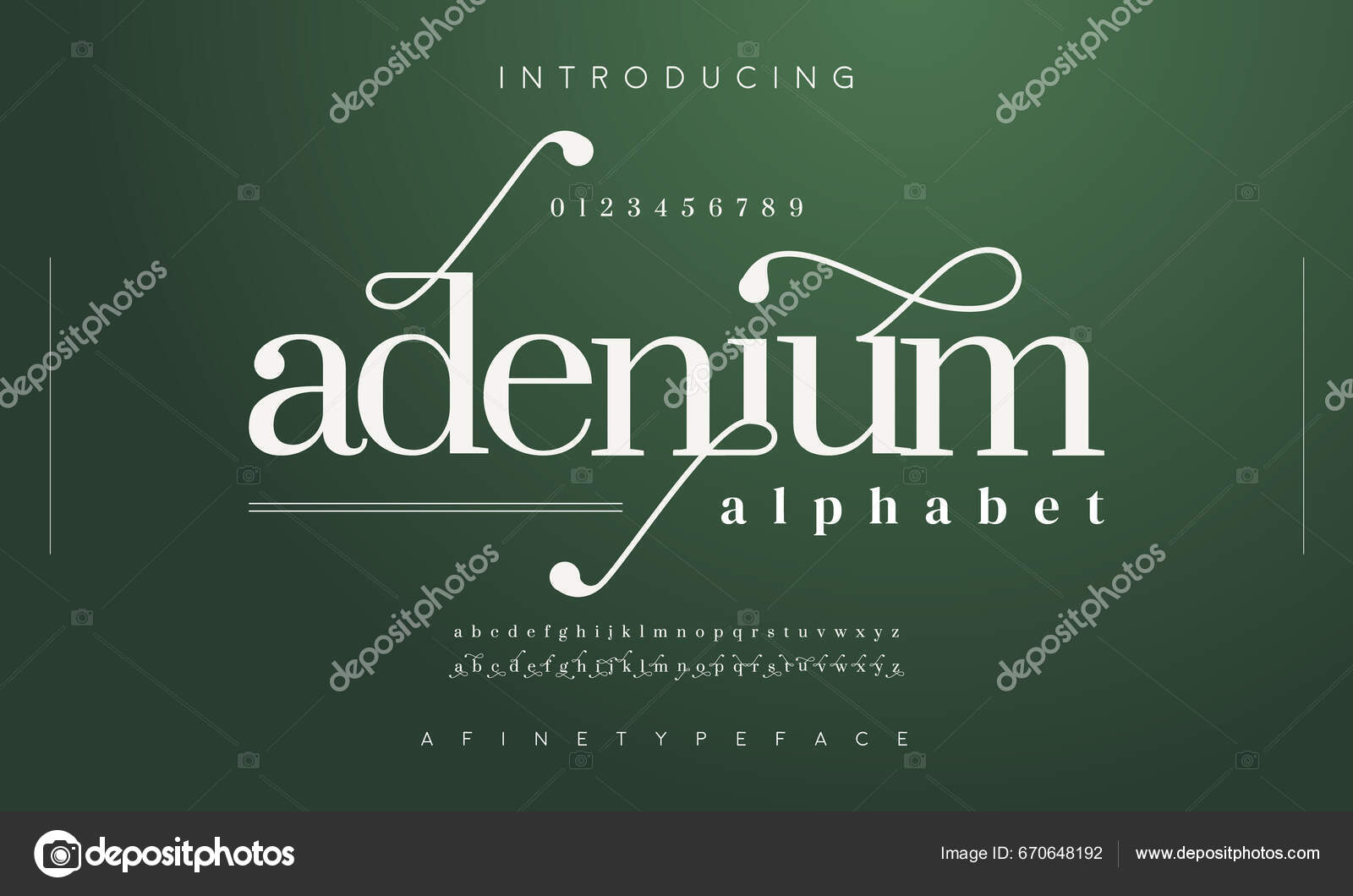 Vektorová Luxusní Abeceda Elegantní Písmo Elegantní Abecední Design ...