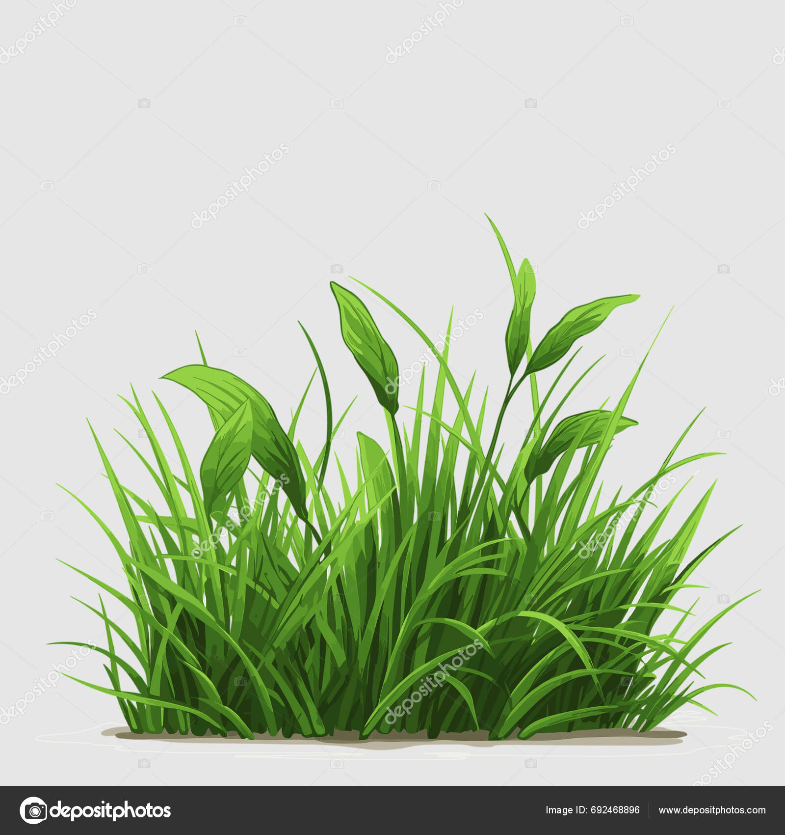 Grass Vector Design Your Design Stock Vector by ©anis.1952 692468896