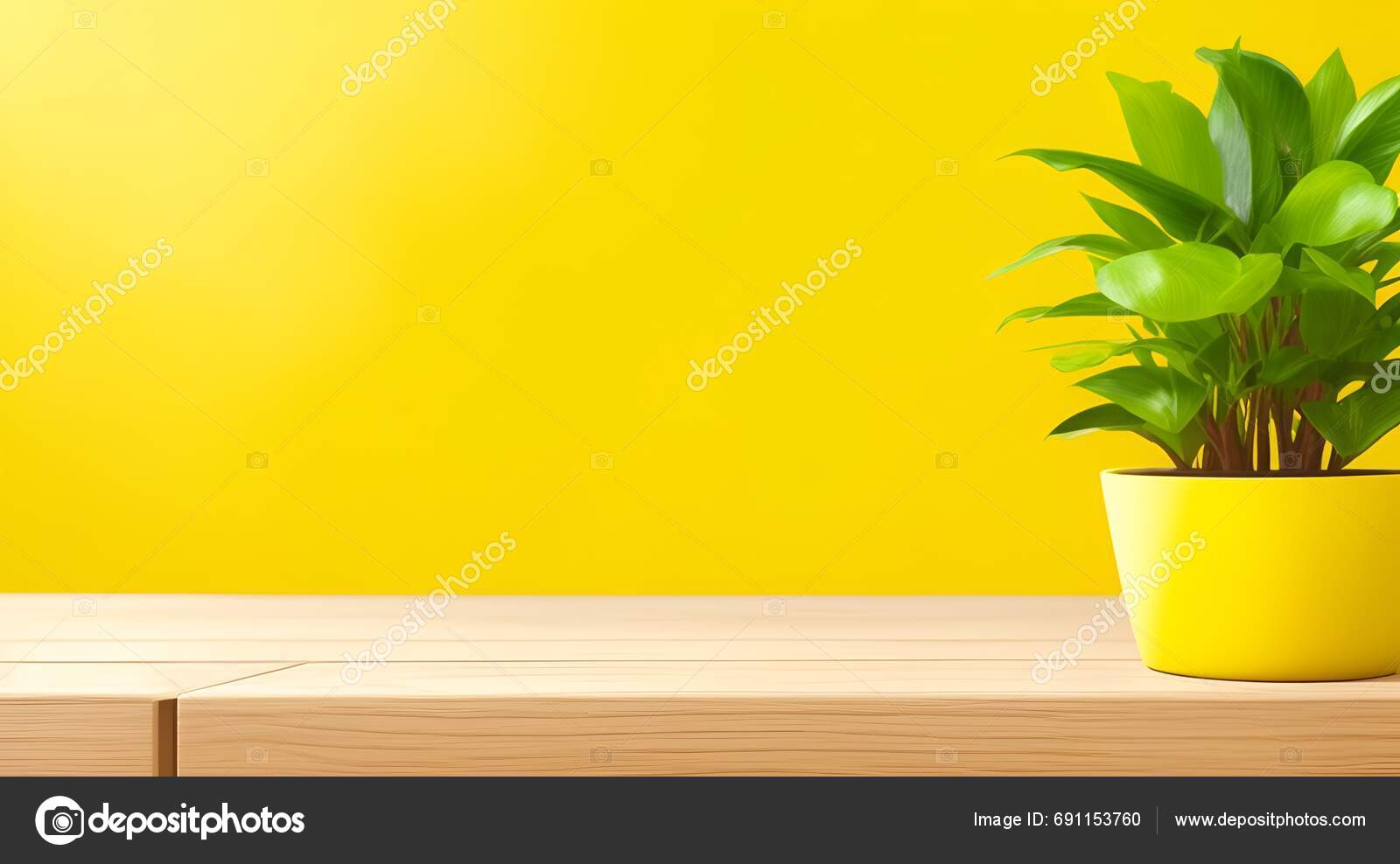 Interior Moderno Vacío Con Plantas Render — Foto de stock ...