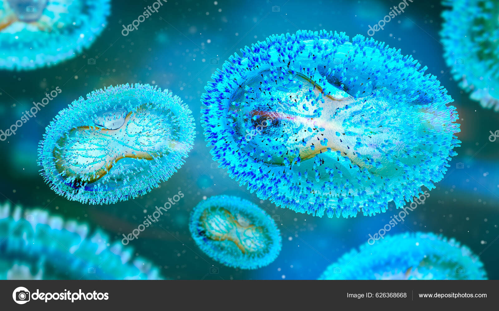 Cross Section Smallpox Pathogen Cell Membrane Nucleocapsid Cell Wall ...