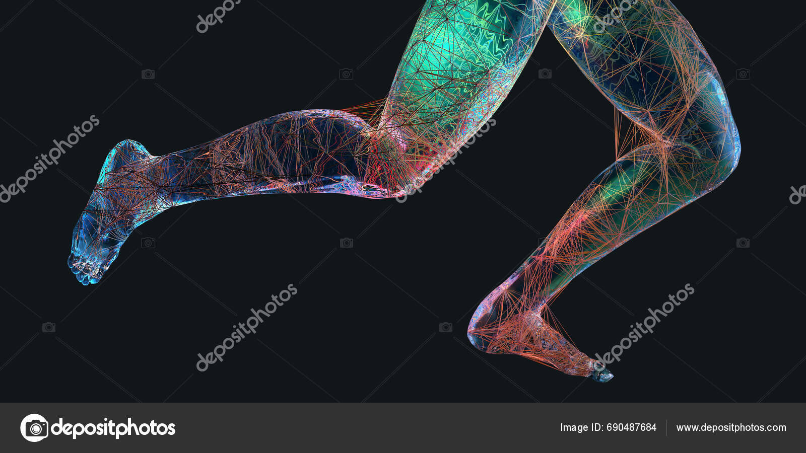 Transparent Human Body Motion Internal Connections Illustrate Movement ...