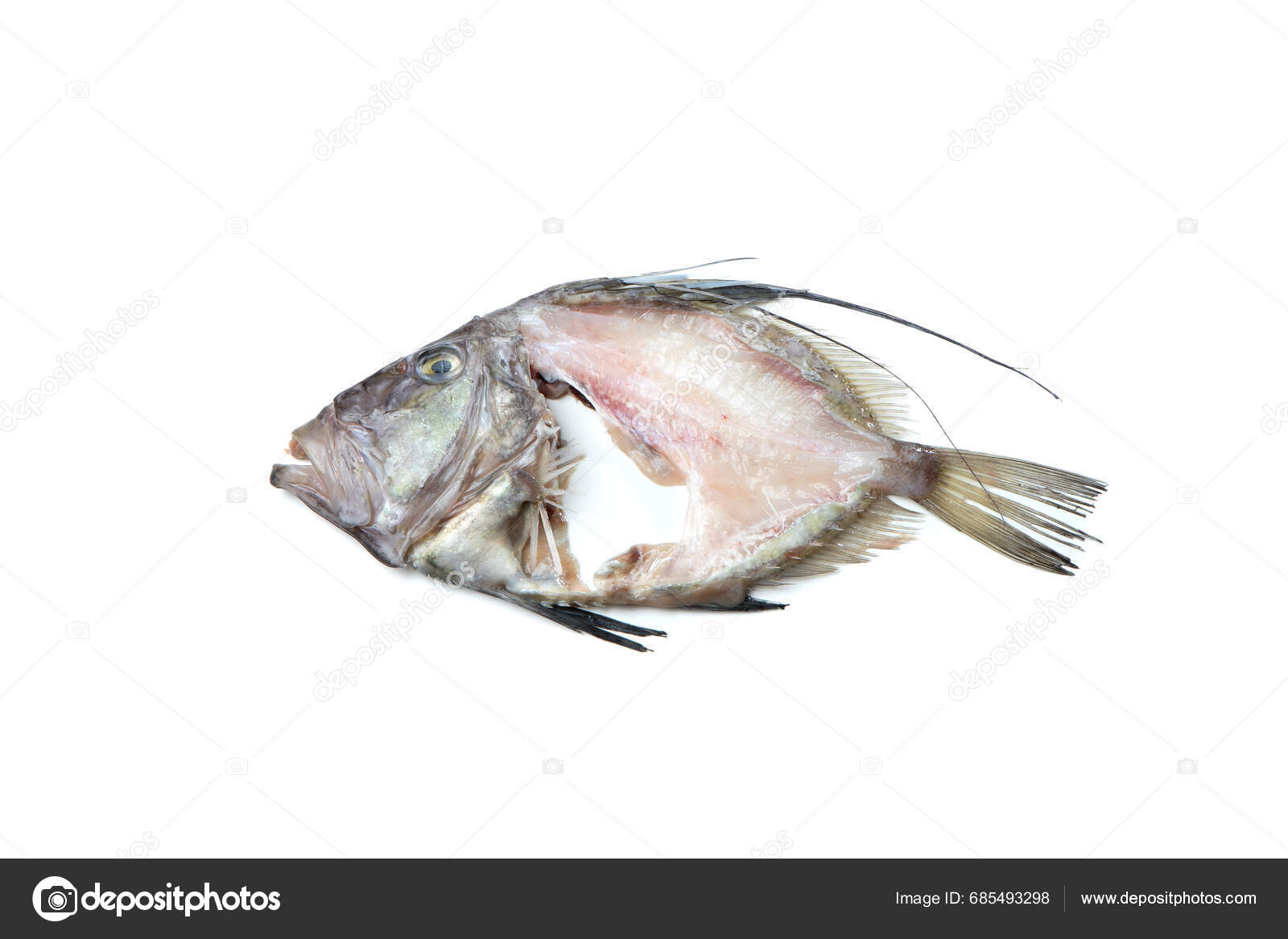 Peter's Fish John Dory Zeus Faber Pierre Filleted — Stock Photo ...