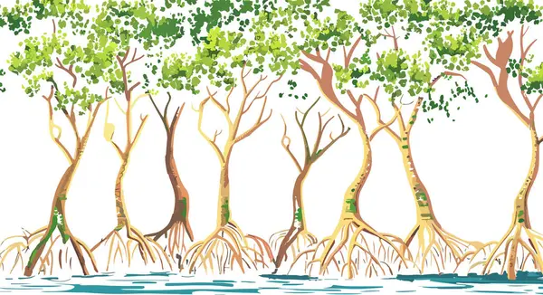 6,809,640 Ecosistema de manglar Vector Images | Depositphotos