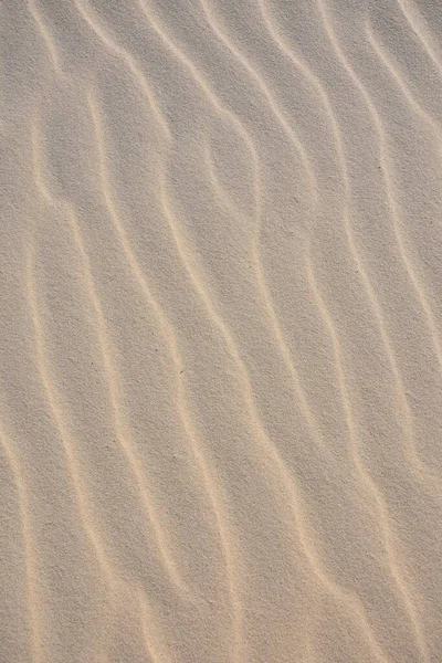 Wind patterns of white sand of a dune. Natural abstract textured ...