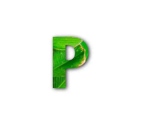 Green letter p Stock Photos, Royalty Free Green letter p Images ...