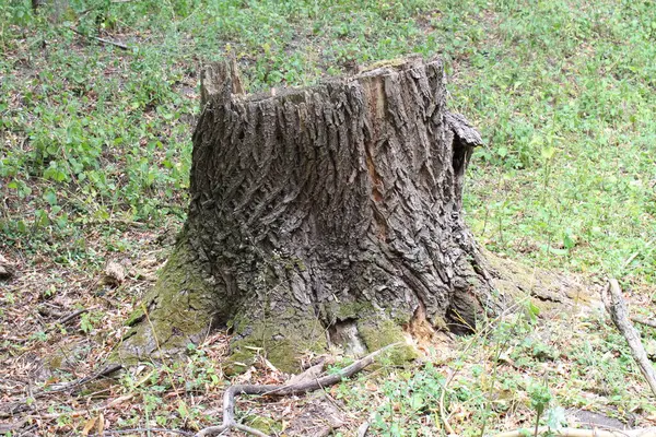 Mooring stump Stock Photos, Royalty Free Mooring stump Images ...