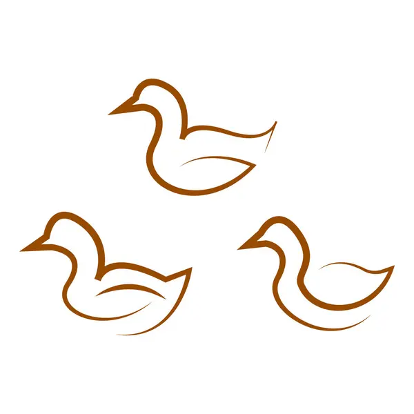 13,207,755 Infinity symbol birds Vector Images | Depositphotos