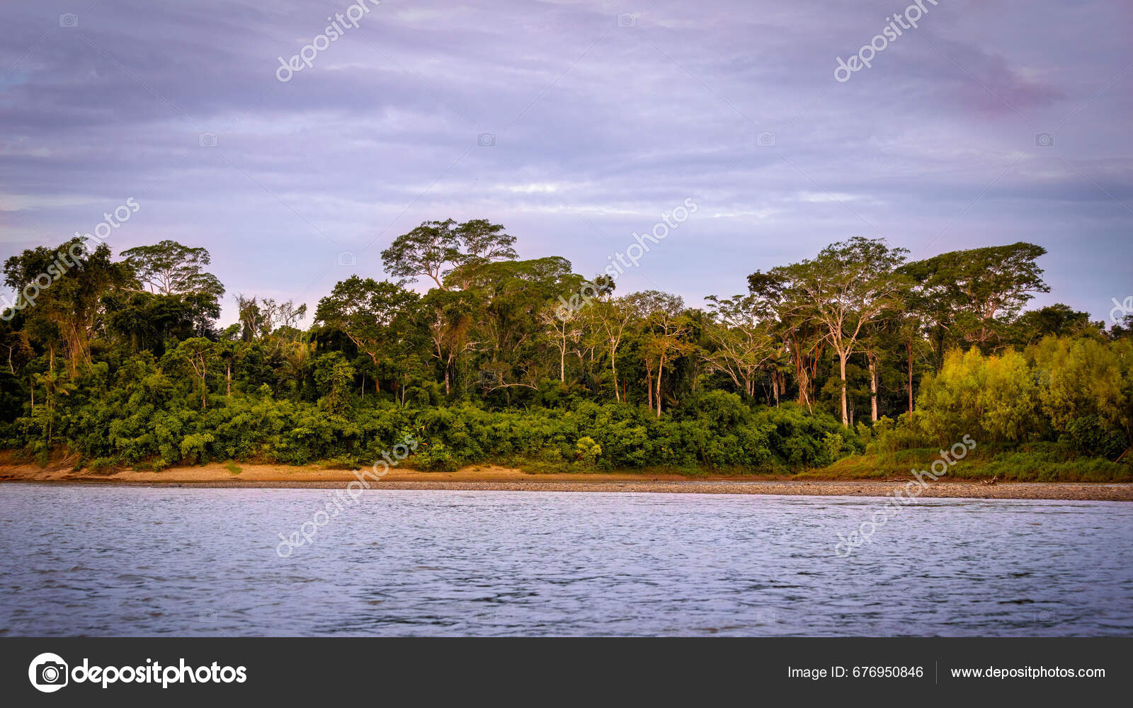 Peruvian Amazon Rainforest Tambopata River Tambopata National Reserve ...