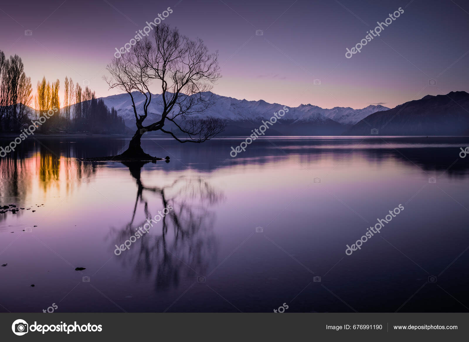 Wanaka Tree Lonely Tree Standing Wanaka Lake Sunrise South Island ...