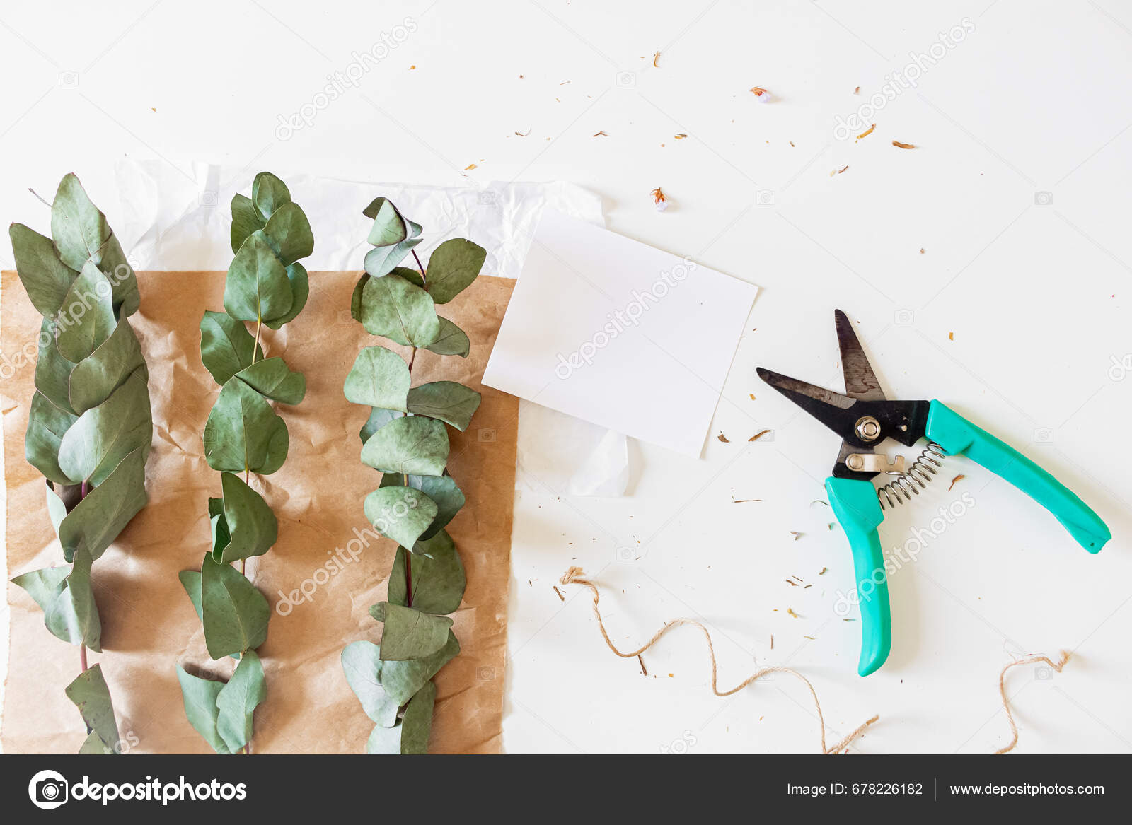 Creative Retro Style Composition Blank Paper Sheet Eucalyptus Branches ...