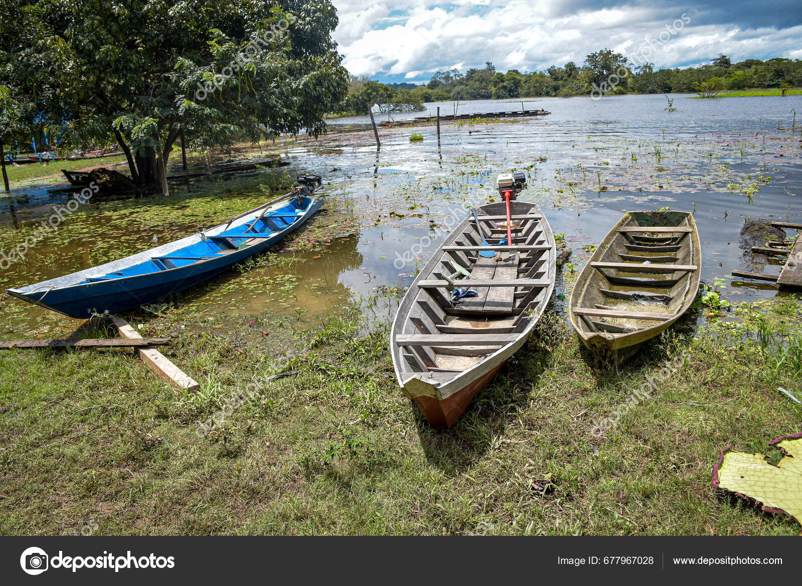 Amazon Rainforest Tribe Indigenous People Who Live Brazilian Parts ...