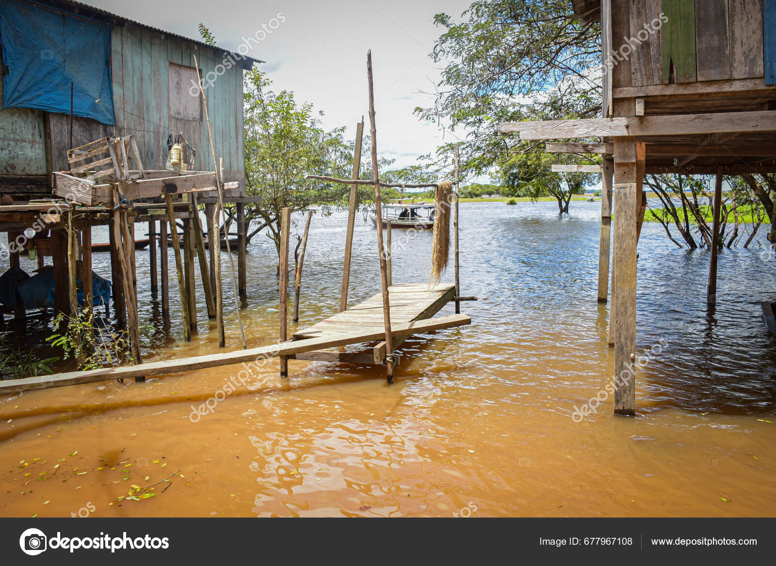 Amazon Rainforest Tribe Indigenous People Who Live Brazilian Parts ...
