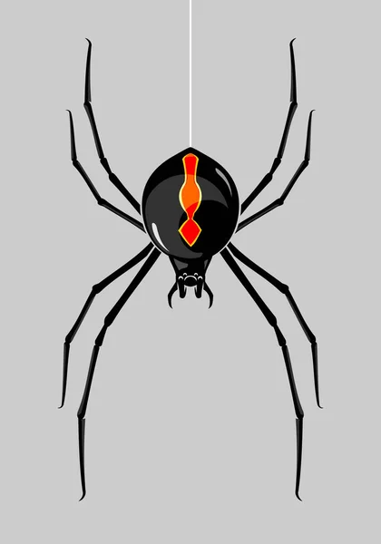 100,000 Spider drawing Vector Images | Depositphotos