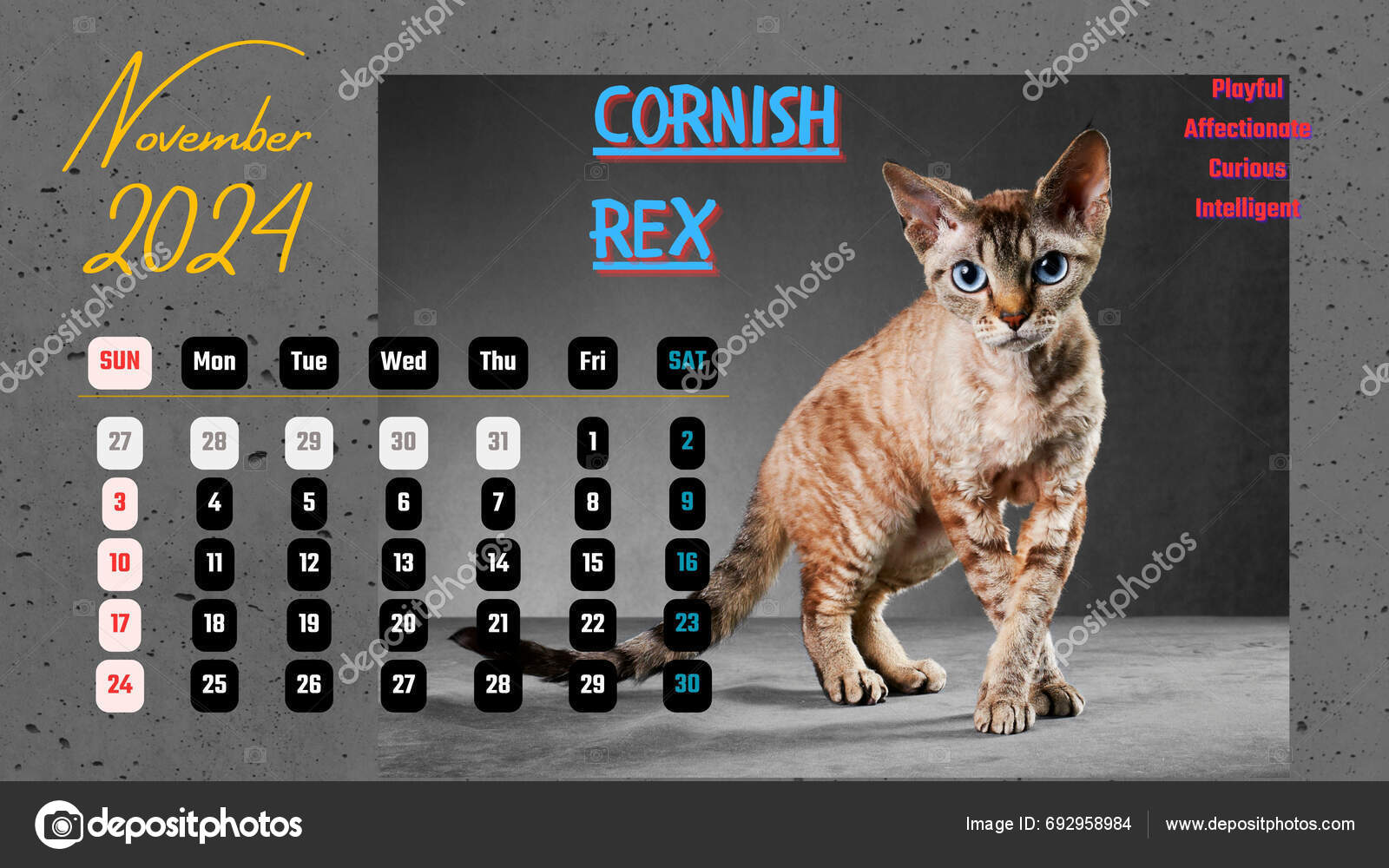 2024 Cats Calendar Pages November Stock Photo by ©Georgii62707 692958984