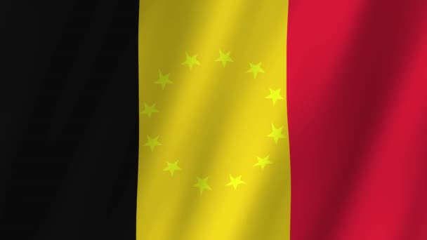 2,366 Belgium flag Videos, Royalty-free Stock Belgium flag Footage ...