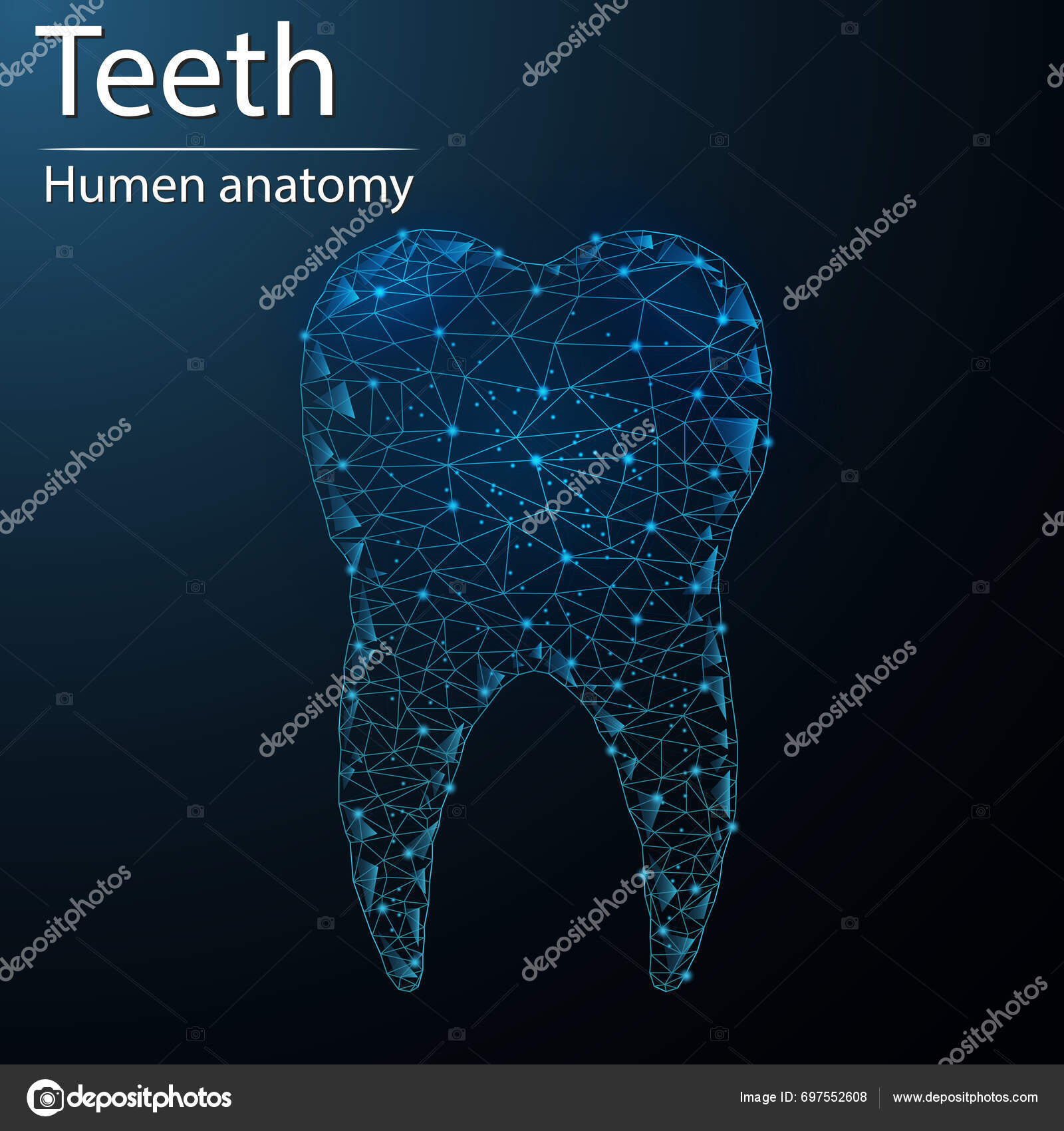 Human Teeth Anatomy Organ Translucent Low Poly Triangle Futuristic ...