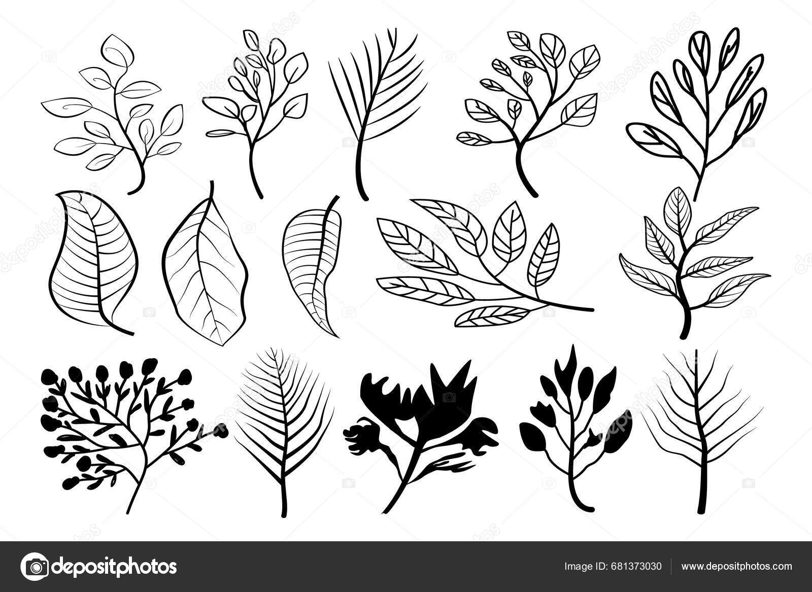 Black White Color Tree Vector Art Design Tree Vector Art Stock Vector ... Black White Color Tree Vector Art Design Tree Vector Art Stock Vector ...