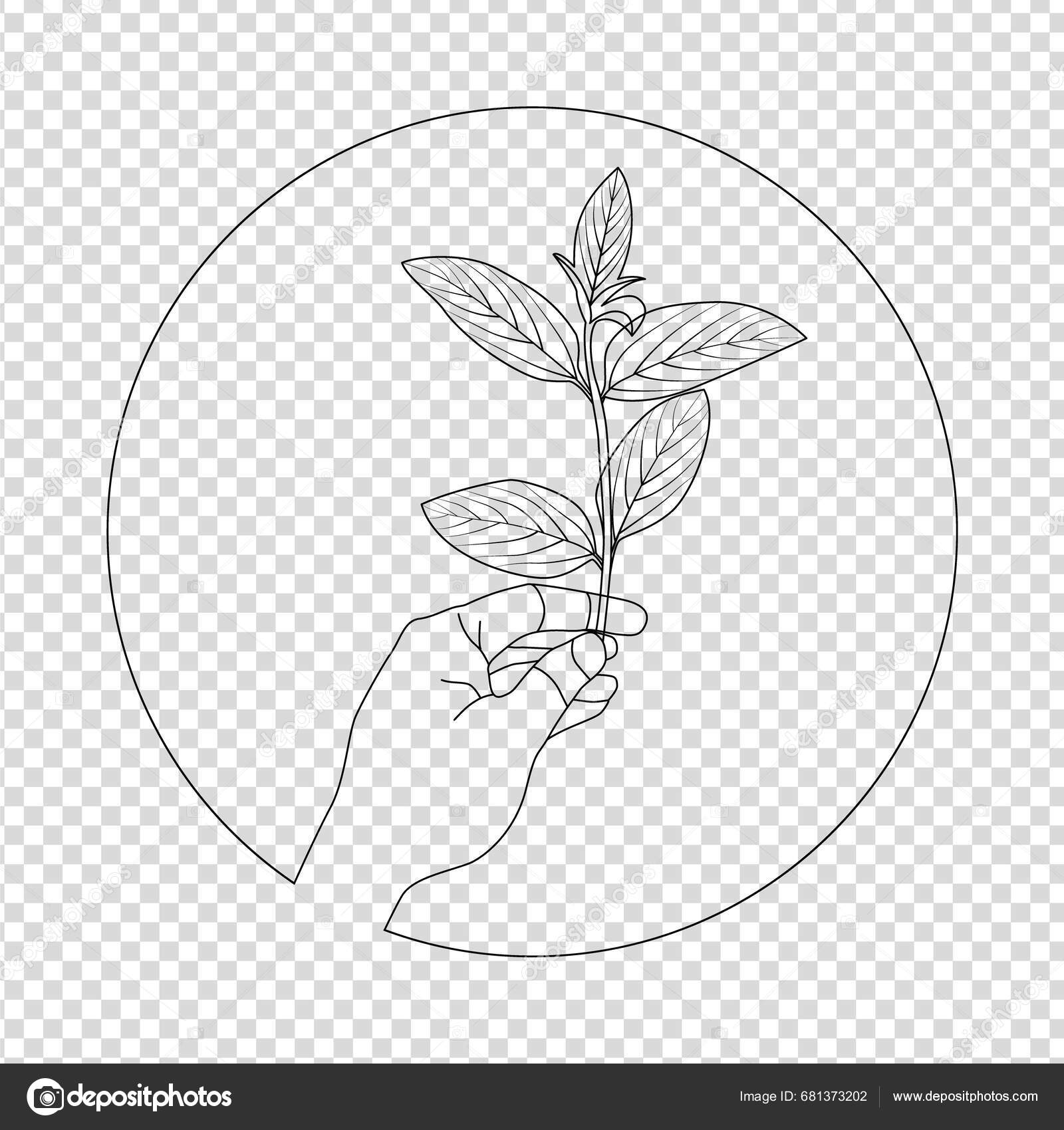 Black White Color Tree Vector Art Design Tree Vector Art Stock Vector ... Black White Color Tree Vector Art Design Tree Vector Art Stock Vector ...