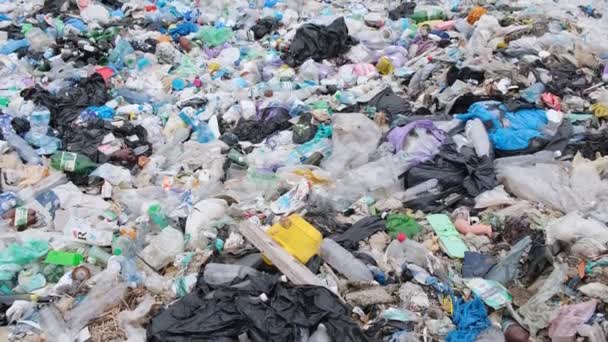 Plastic Waste Environmental Pollution Contaminated Ocean Beaches ...