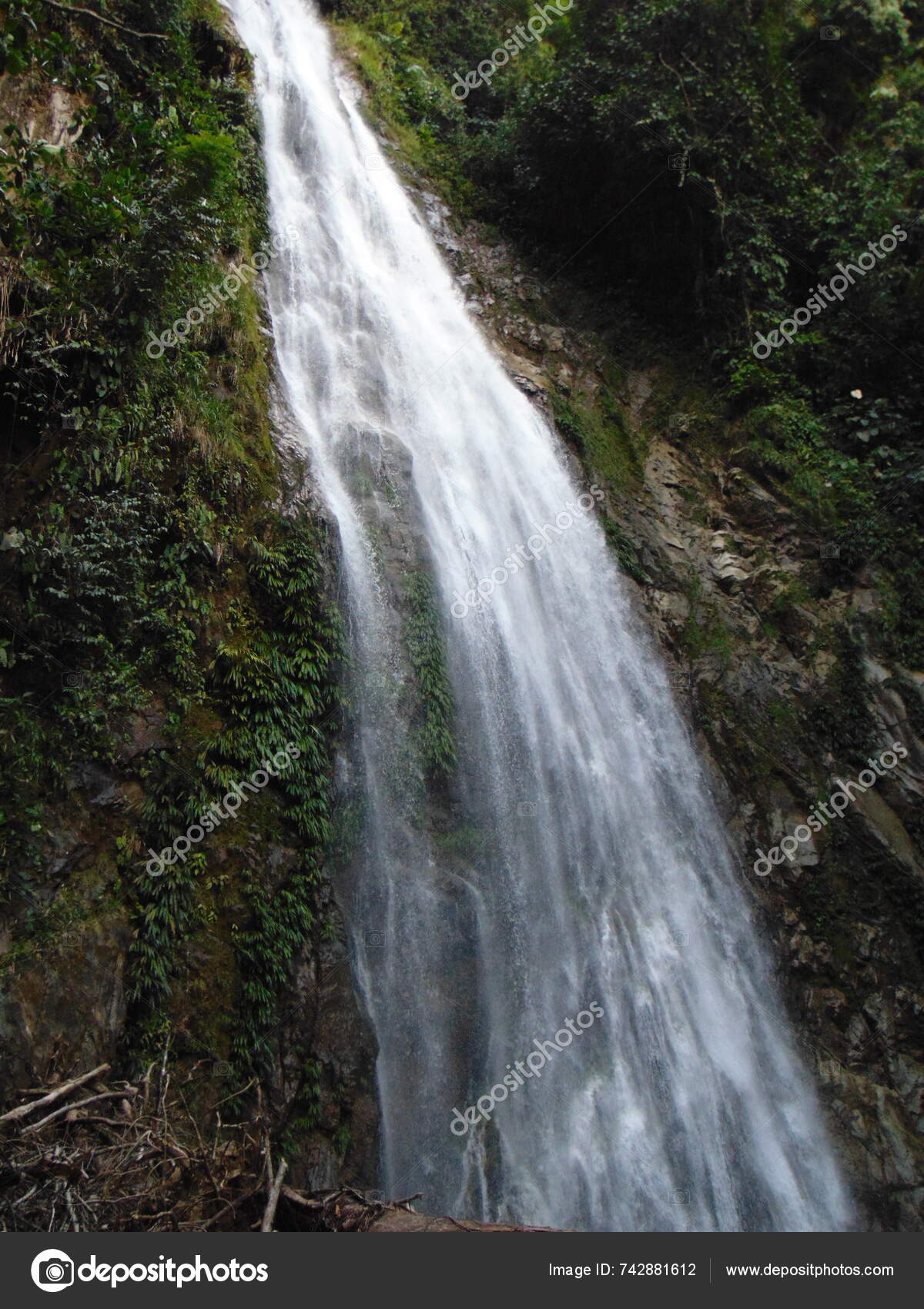 Beautiful Large Waterfall Falling Rocks Trees Forest — Stock Photo © P ...