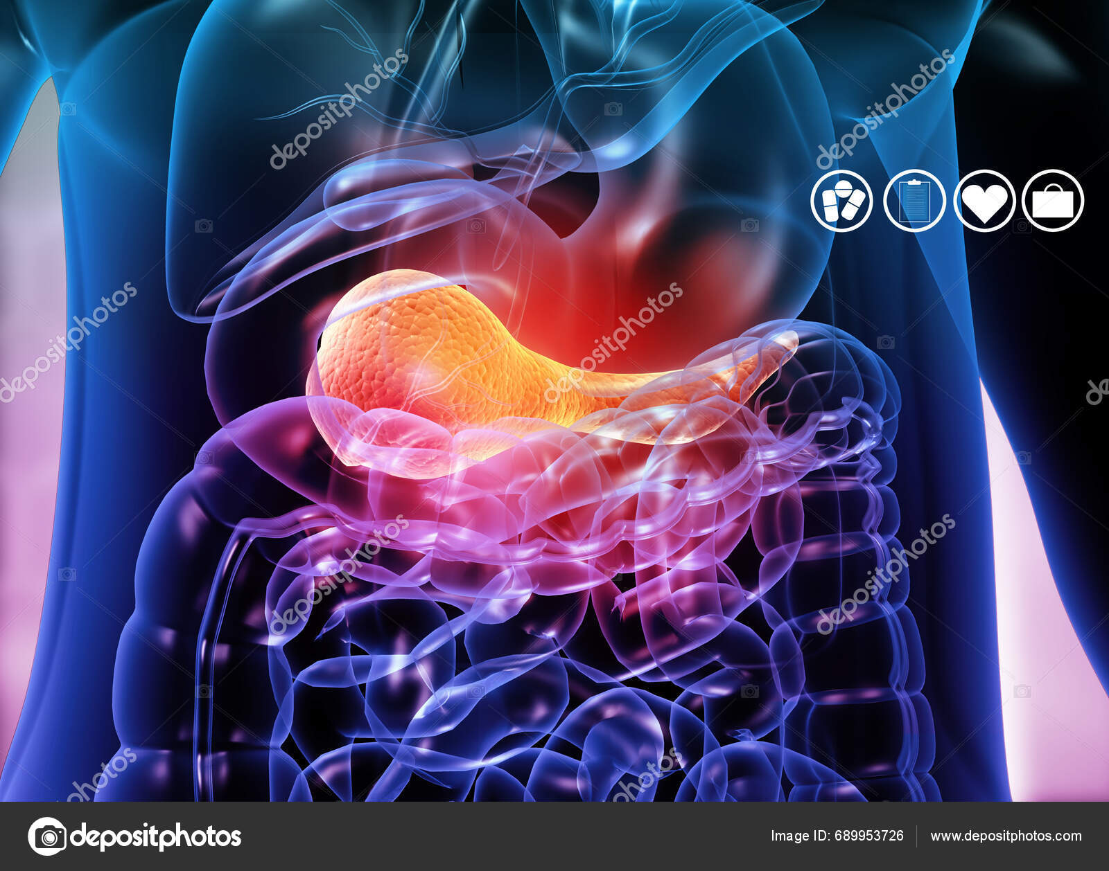 Human Body Digestive System Medical Background Illustration — Stock ...