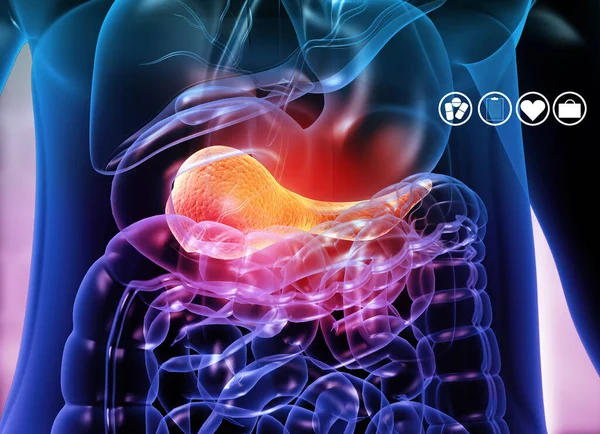 Human Digestive System Science Background Illustration Stock Photo by ...