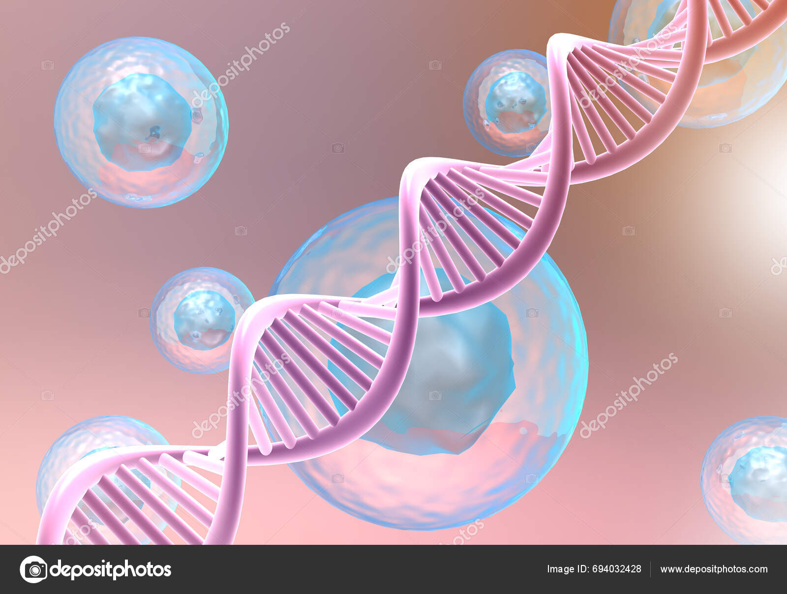 Human Cell Dna Illustration — Stock Photo © exploderasi #694032428