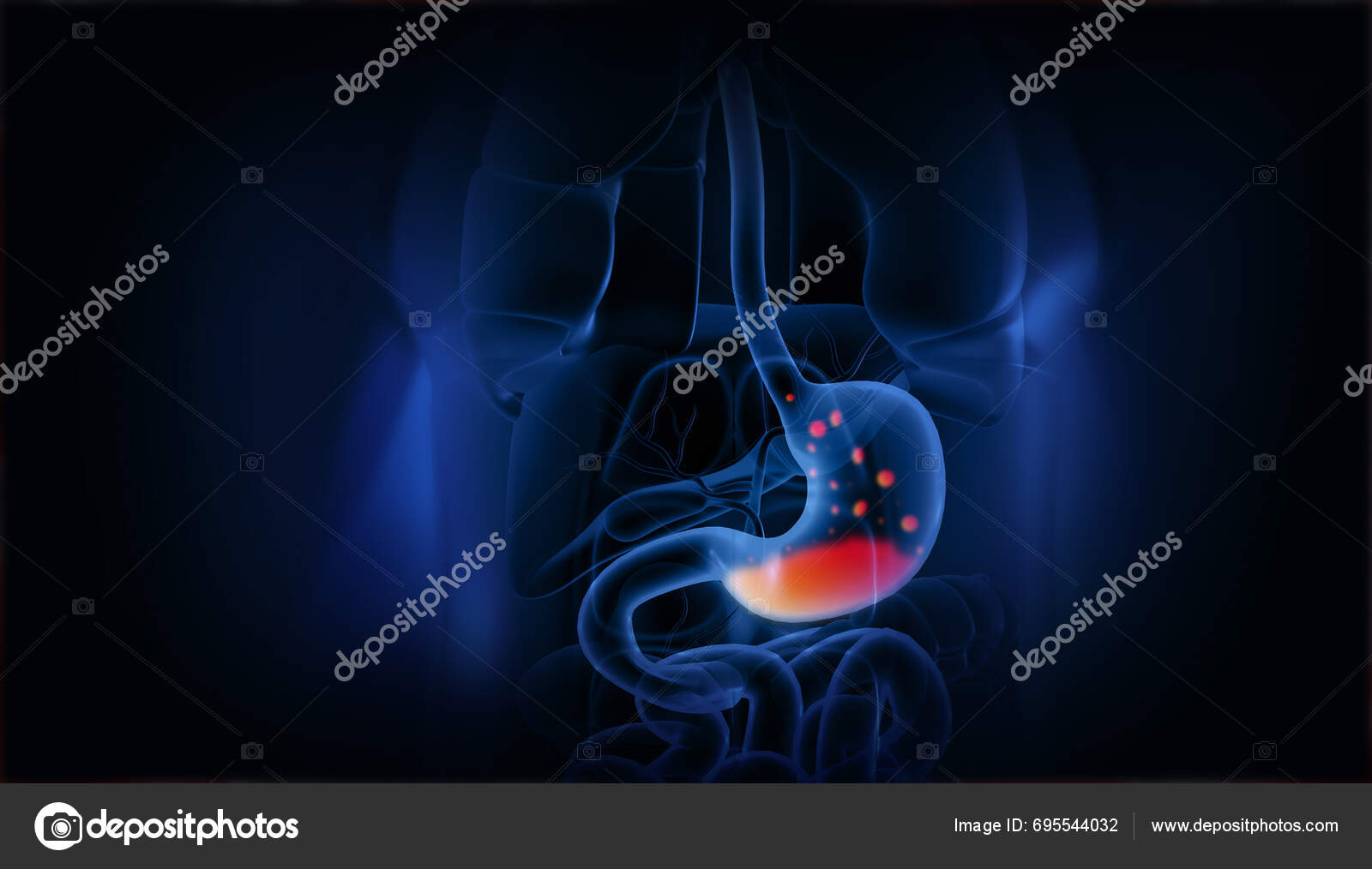 Human Stomach Gas Problem Concept Illustration — Stock Photo ...
