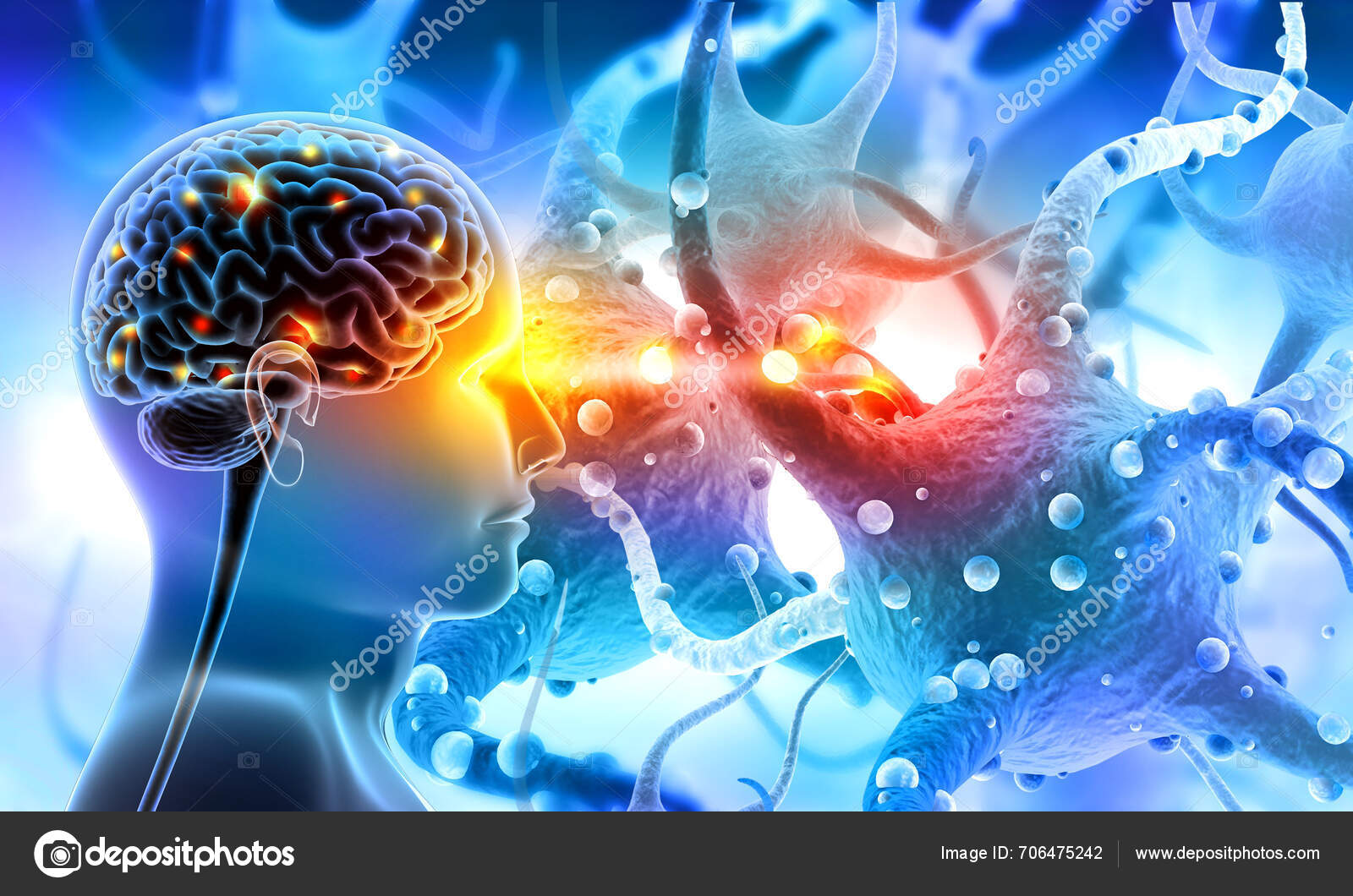 Human Brain Nerve Cells Illustration — Stock Photo © exploderasi #706475242