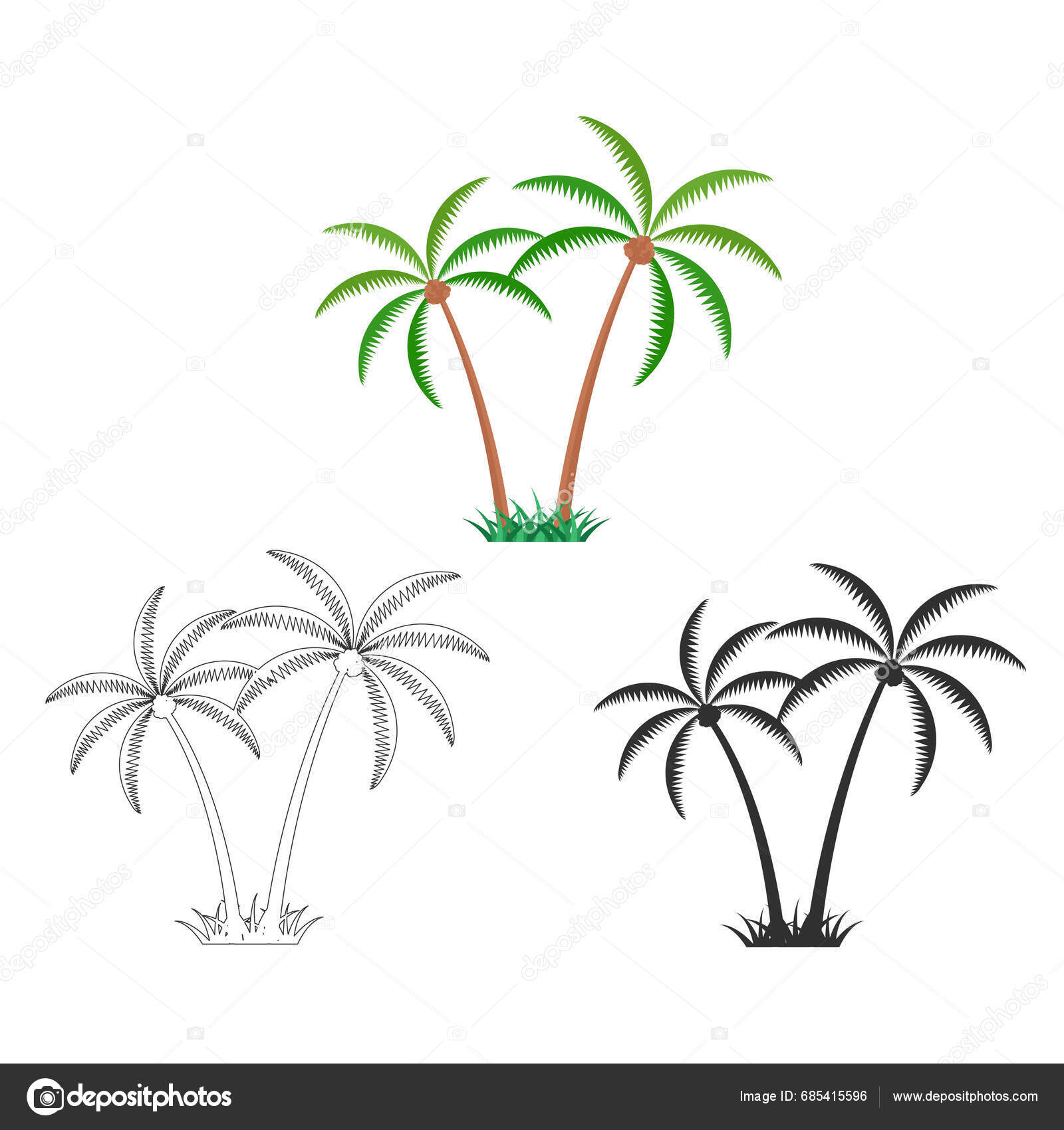 Vector Cocotero Ilustraciones Cocoteros Pinza Cocotero Planta Coco ...