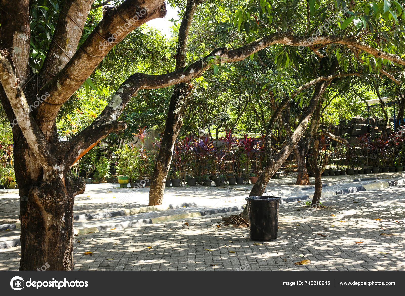 Atmosphere Trees Park Day — Stock Photo © aidildiafragma53@gmail.com ...