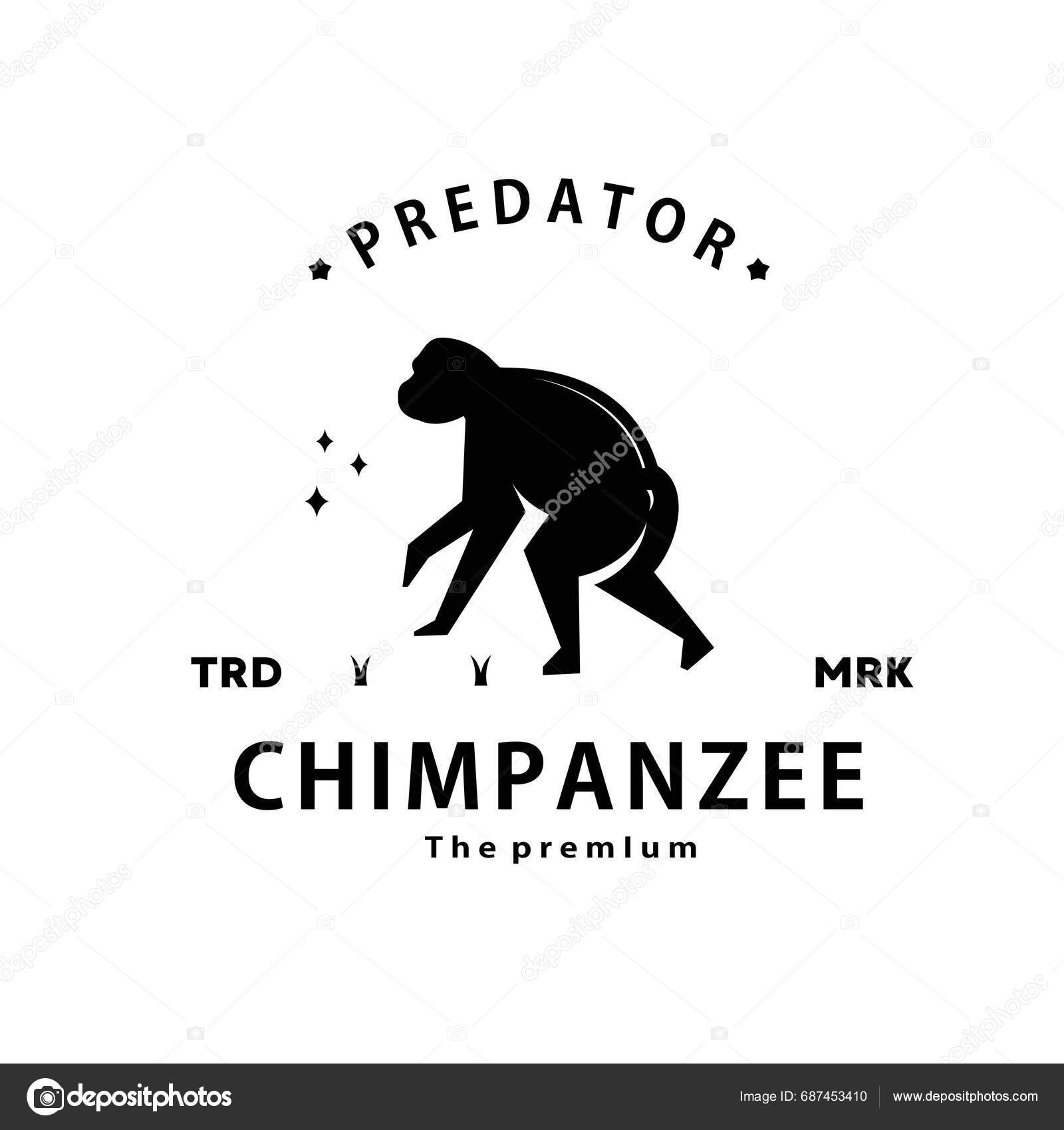 Vintage Retro Hipster Chimpanzee Logo Vector Silhouette Art Icon Stock ...