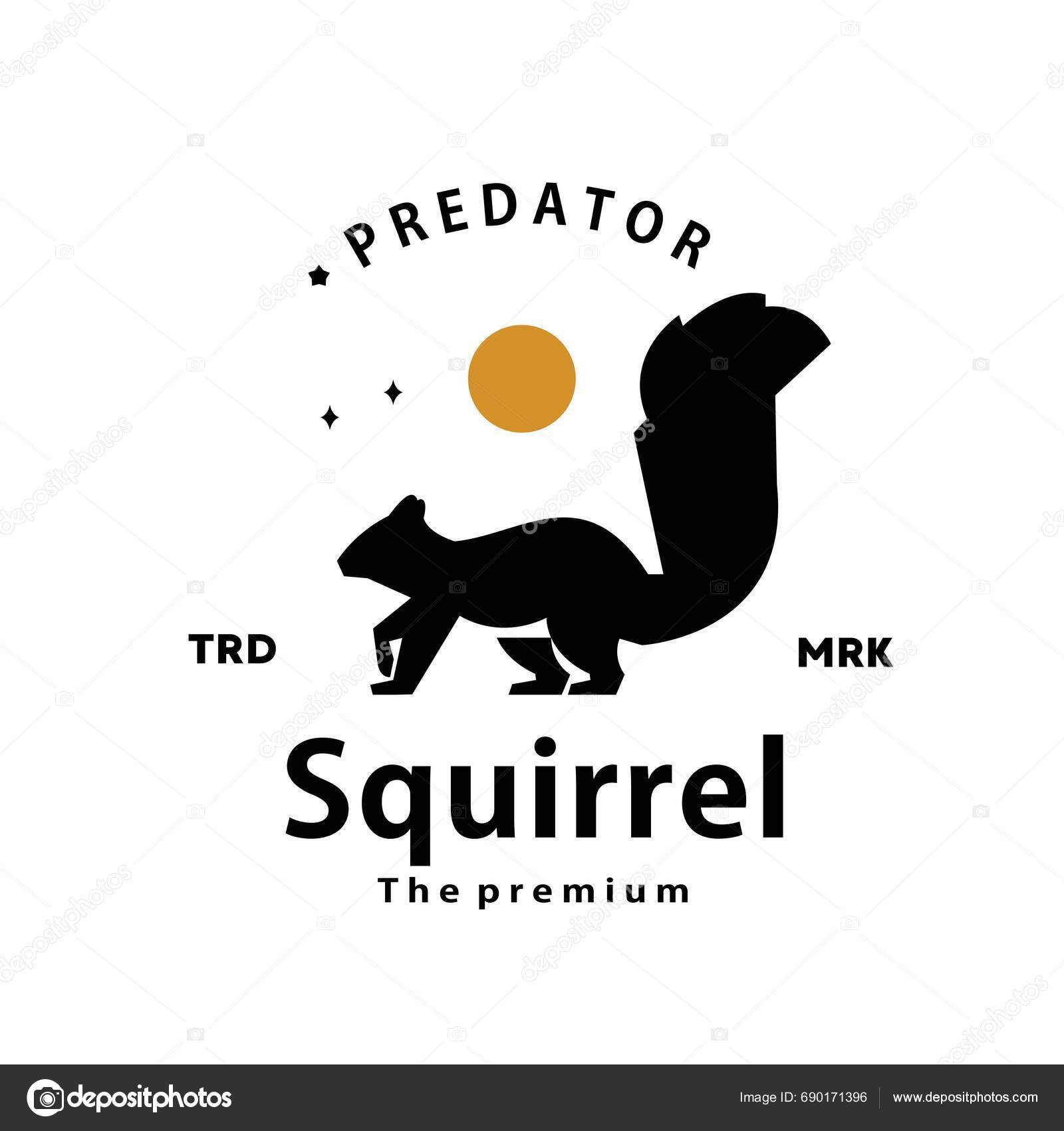 Vintage Retro Hipster Squirrel Logo Vector Outline Silhouette Art Icon ...